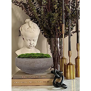Macomine Design Newly Released Moss Bowl |12" Diameter | Artificial | Hand-Painted Cement Bowl | Home Décor
