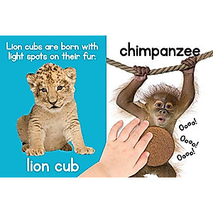 Adorable Animals - Touch and Feel Board Book - Sensory Board Book