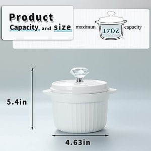 Bacon Grease Container Keeper with Crystal Lid and Strainer, 17 oz Ceramic Frying Oil Storage Can Container for Countertop (Silver)