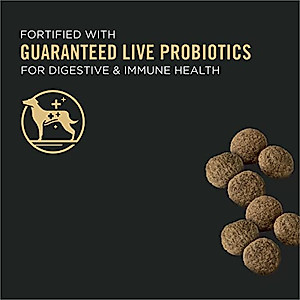 Purina Pro Plan Sensitive Stomach and Stomach Large Breed Dog Food, Salmon Formula - 35 lb. Bag