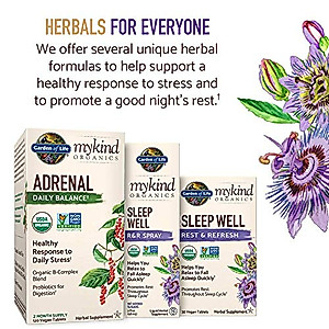 Garden of Life mykind Organics Sleep Well R&R Spray (58 mL) Liquid - Relax & Rest, Green Tea Extract L-Theanine, Chamomile, Lemon Balm - Non-GMO Vegan & Gluten Free Herbal Supplements, 2 Fl Oz