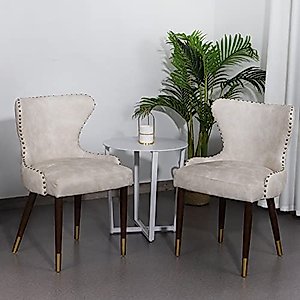ROIYEIER Modern Dining Chairs Set of 2, Waterproof Wear Resistant Upholstered Dining Chairs with Armrest Soild Legs for Dining Room Living Room, Beige