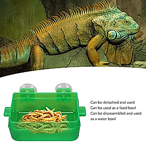 Zerodis Suction Cup Reptile Feeder, Green Wall Reptile Feeder Gecko Lizard Escape Proof Food Water Bowl (S)