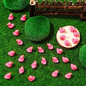 150 Pcs Mini Resin Ducks Pink Tiny Ducks Miniature Ducks Bulk Small Plastic Duckies Figures for Valentine's Day Office Home Hide and Seek Prank Game Craft Dollhouse Party Favors Gift
