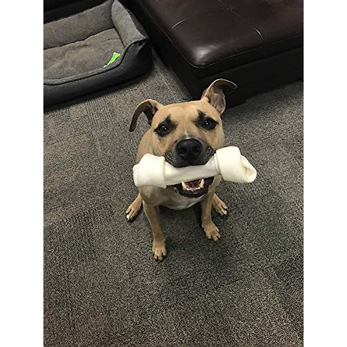 Dog Rawhide Bones Bulk Pack of 3 Natural Rawhide Protein Treats Knot Bone Chews Medium