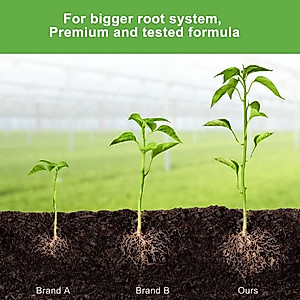 Hormone Root Fertilizer, Organic Fertilizer, Plant Fertilizer, All Purpose Indoor Plant Fertilizer(150g/5.3Oz)