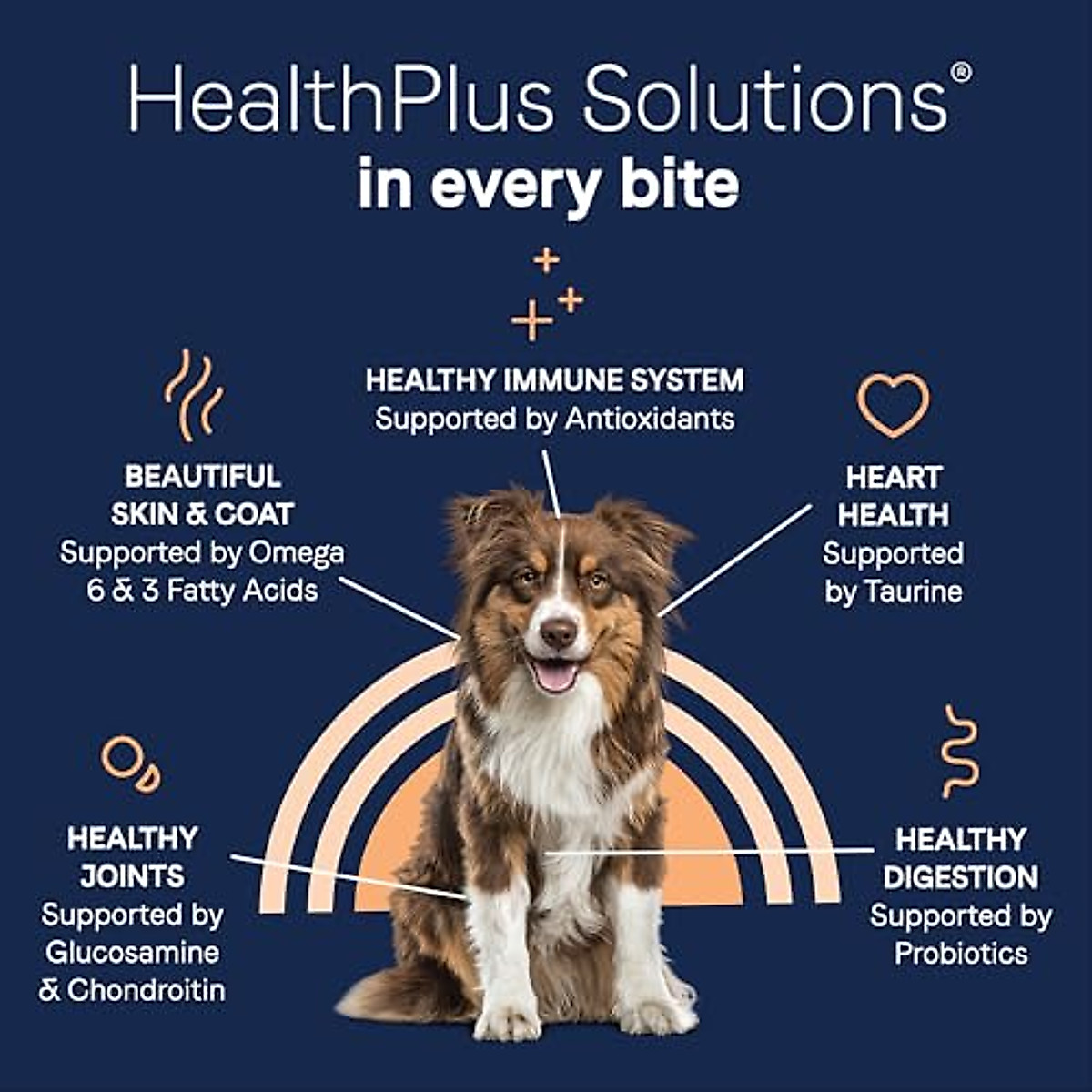 CANIDAE Pure Limited Ingredient Premium Adult Dry Dog Food, Real Salmon & Barley Recipe, 4 lbs, with Wholesome Grains