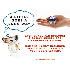 TEEF! Daily Dental Care – Natural Dog Dental Water Additive, 30 Day Supply – Award Winning Formula Fights Plaque and Tartar – No Brushing, Add to Water Bowl – Say Hello to Healthier Gums