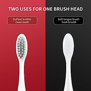 Flexforce AAA Battery Powered Sonic Toothbrush, 2 Replaceable Toothbrush Heads, Metal Aluminum Toothbrush Handle, for Kids and Adults, 2 Minute Timer, V1 Electric Toothbrush, Red