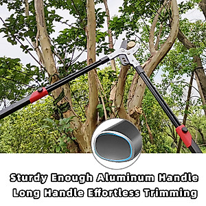 YRTSH Loppers Branch Cutter Tree Trimmer Extendable Lopper with Compound Action, Chop Thick Branches Effortlessly, 28"-41" Telescopic Heavy Duty Tree Clippers with 2 Inch Clean Cut Capacity
