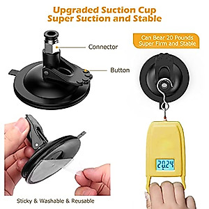 HOSFROLL Cat Toys, 2 Pack 3 in 1 Interactive Cat Toy for Indoor Cats with Sticky Super Suction Cup Detachable 10 Pcs Replacements Feathers Balls Mice 2 Wand Hanging Door Kitten Toys