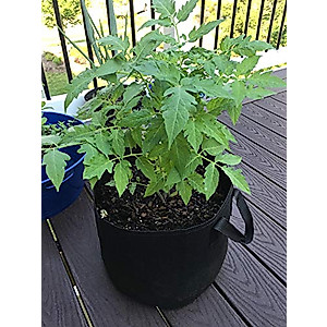 Cavisoo 24-Pack 3 Gallon Grow Bags, Heavy Duty Thickened Non-Woven Plant Fabric Pots with Reinforced Handles