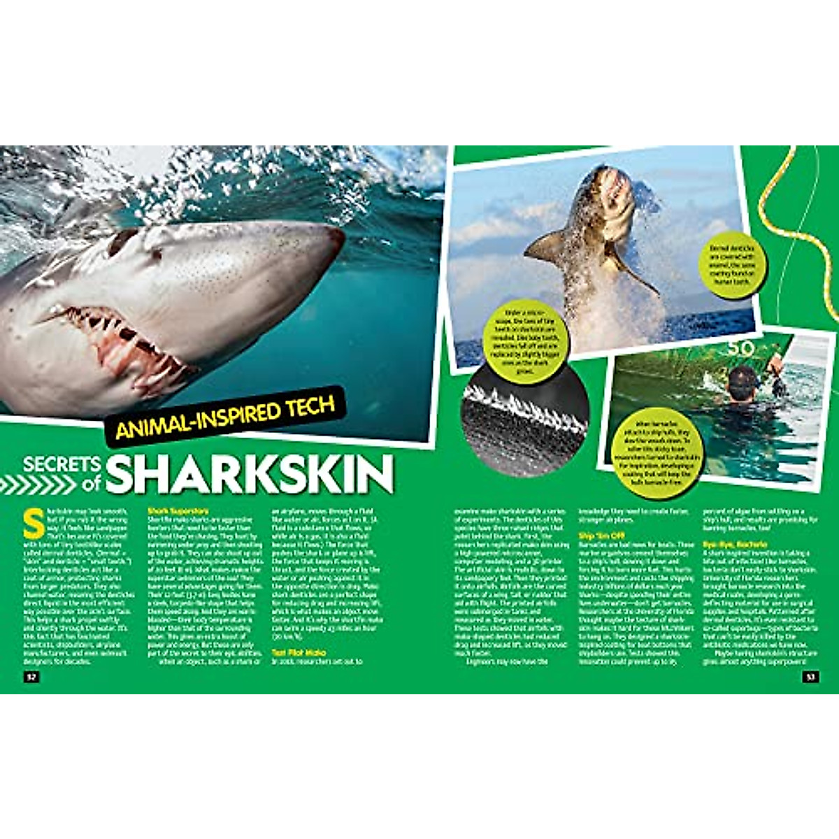 The Coolest Stuff on Earth: A Closer Look at the Weird, Wild, and Wonderful (National Geographic Kids)