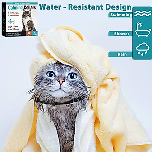 Calming Collar for Cats, 4 Pack Calming Cat Collars, Pheromone Collar for Cats, Cat Anti Anxiety Relief for 30 Days, Natural Scent Adjustable Appeasing Calm Kittens Kitty Collar for All Cats (Black)