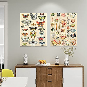 Lourny 3Pcs Flower Tapestry Wall Hanging - Wildflower Plant Floral Fruit Tapestry Butterfly Botanical Small Tapestries for Bedroom Living Room