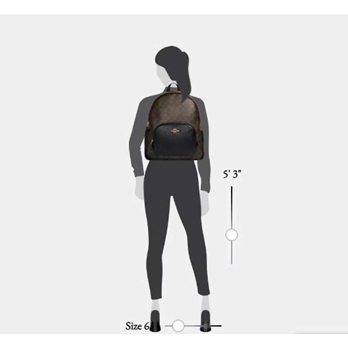 Coach Women's Large Court Backpack in Signature Canvas (Brown - Black)