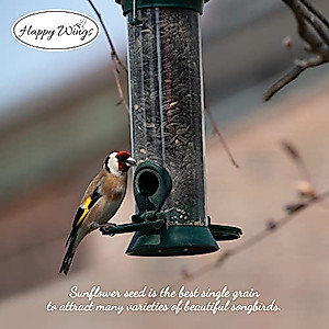 Happy Wings Black Oil Sunflower Bird Food, 5 Pounds | No Grow Seed | Bird Seed for Wild Birds