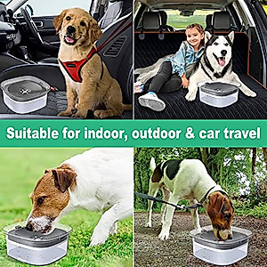 Decflow 2L Dog Water Bowl, Large Capacity Spill Proof Anti-Choking No Spill Bowl with Slow Feeder, Vehicle Carried Travel for Dogs, Cats & Pets.