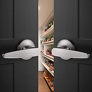 Probrico (1 Pack Door Hardware Dummy Lever Door Handles for Closets,Single Side Individual Door Lever in Satin Nickel