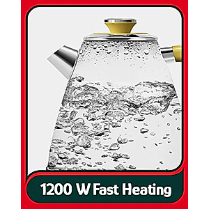 Hazel Quinn X Eduardo Recife Collaboration Electric Kettle with Thermometer - 1.7 Litres / 57.5 Ounces Retro Tea Kettle, All Stainless Steel, Fast Boiling 1200W, Cordless, BPA-free, Automatic Shut-Off