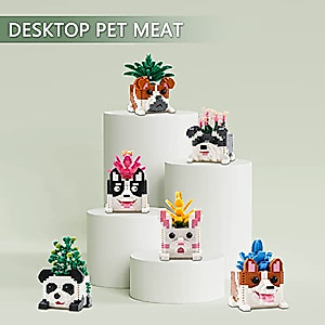 DOLBLOCK Succulent Bonsai Botanical Collection Decor Building Set Architecture Model Kit with Flower Plant Animal for Adults Creative DIY Gifts Toys