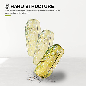 molshine Hard Shell Leather Sunglasses Case,Classic Large Glasses Case for Women Men,Sunglass Eyeglasses (Green Daisy)