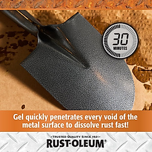 Rust-Oleum 300112 Rust Dissolver Gel, 32 oz