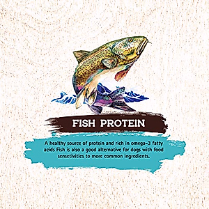 Inception® Dry Dog Food Fish Recipe – Complete and Balanced Dog Food – Meat First Legume Free Dry Dog Food – 27 lb. Bag