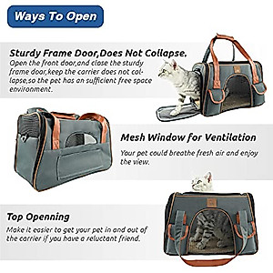 Premium Pet Carrier Airline Approved Soft Sided for Cats and Dogs Portable Cozy Travel Pet Bag, Car Seat Safe Carrier (Medium, Deep Grey-1)