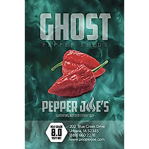 Pepper Joe’s Ghost Pepper Seeds – Pack of 10+ Superhot Chili Pepper Seeds – USA Grown – Premium Non-GMO Bhut Jolokia Seeds for Planting in Your Garden