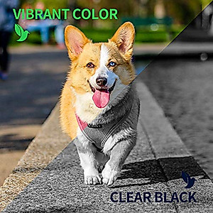 Inkworld Remanufactured 63XL Replacement for HP 63 Ink Cartridge Combo Pack for Envy 4520 3634 OfficeJet 3830 5252 4650 5258 4655 4652 5255 DeskJet 3636 1111 3630 1112 Printers (1 Black 1 Color)