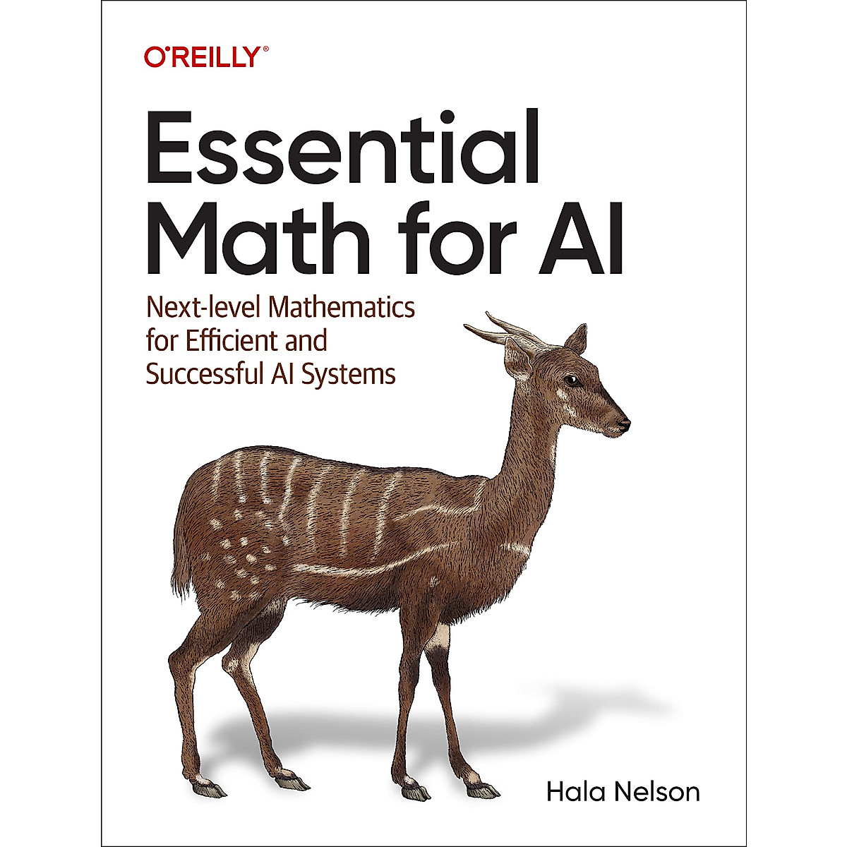 Essential Math for AI: Next-Level Mathematics for Efficient and Successful AI Systems