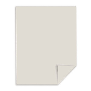 Neenah Wausau Paper 82341 Vellum Bristol Cover Stock, 8-1/2 x 11, 67-lb., Gray, 250 Sheets/Pack