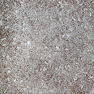 San Francisco Bay Brand Brine Shrimp Hatch Mix, 3 X 0.74-Ounce (21 Gram) Pouches