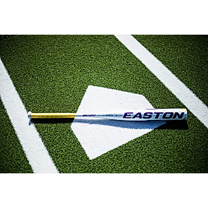 Easton | AMETHYST Fastpitch Softball Bat | -11 | 30"