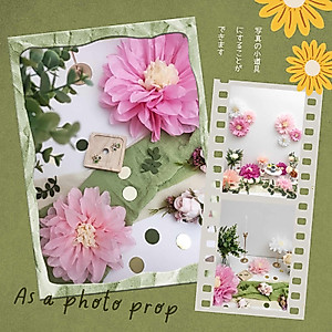 iwlorys 12Pcs Pink White Tissue Paper Pom Poms Flowers 12" 8" for Wall Pink Party Decorations Kit Girls Birthday Baby Bridal Shower Wedding Nursery Mexican Floral Garden Tea Party Centerpieces