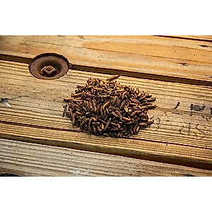 New Country Organics | Flock Perfect Chicken Dance Grubs for Chickens | 3.5 lbs