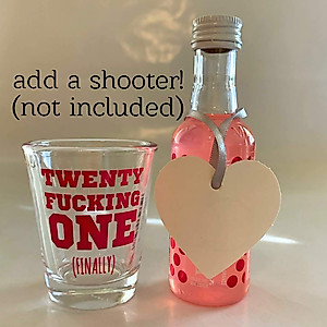 GO FROZEN 21st Birthday Shot Glass-Novelty Gifts for 21st Birthday Girl-21 Year Old Birthday Gag Gifts-Finally 21-Hot Pink-1.75oz (clear-pink)