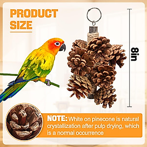 Acostop Bird Toys Parrot Toys - Bird Chewing Toy with Natural Pine Cones for Small and Medium-Sized Parakeets Cockatiels Conures Cockatoos African Grey Amazon Parrots Birdlovers Gifts