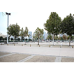 Driveway Security Post Barrier 2-Pack Parking Bollards with Lock Bollard Post Removable Security Posts for Driveways 114mm Wide Parking Barrier Concret Traffic Cones (Size : 1000x114mm)