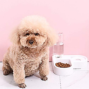 Creative Corner Shape Pet Feeder Bowl Plastic Double Bowls with 500ml Automatic Water Dispenser Bottle Anti- Slid Feeder Household Pet Supplies ( White )