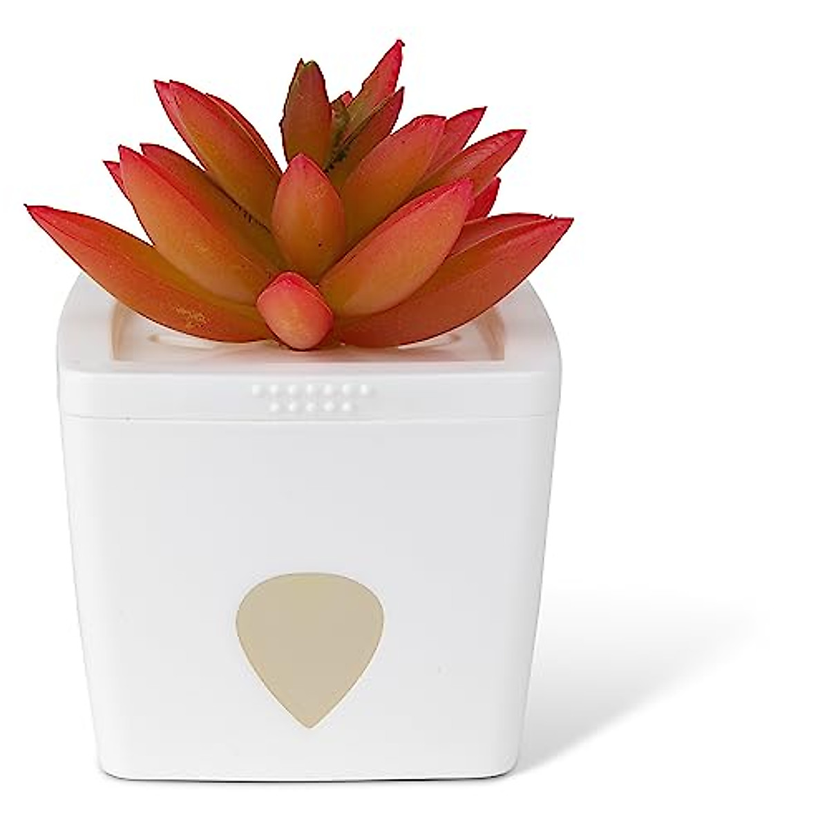 ZendoZones Fruit Fly Trap 2 Pack, Joyful Janet & Terrific Tabitha with White Base, Refillable and Reusable, Long-Lasting