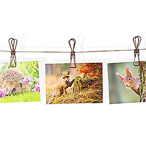 Oakenleaf Clothespins pegs Rose Gold Will Not Rust 316 Stainless Steel 20 Piece Stylish Heavy Duty Clothes Pegs Modern & Eco-Friendly 3inch - The Forever Peg