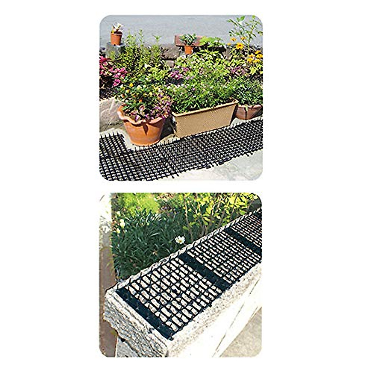 Gardentisan Scat Mat for Cats with Petsafe Plastic Spikes Large Indoor Outdoor Cat Scat Mat 78"x11"