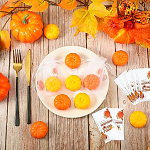 Liliful 100 Sets Mini Pumpkin Baby Shower Favors Included Pumpkin Soap Thanks Cards Drawstring Gift Bags for Fall Bridal Shower Wedding Autumn Thanksgiving Day Party Decorations Gifts