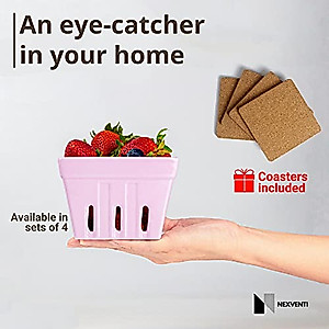 NEXVENTI Ceramic Berry Basket Bowl (Set of 4) | Strawberry Fruit Containers for Fridge | Square Fruit Bowl Farmers Market Harvest Basket | Berry Colander Glass Keeper Stoneware Kitchen Décor (Combi 2)