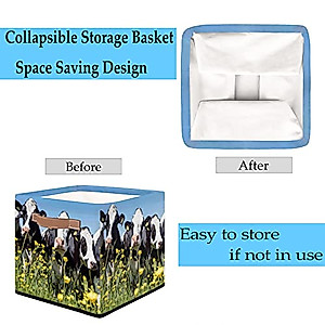 Funky Qiu Storage Cube Bins Farm Flower Cow Large Collapsible Storage Basket with Handle Decorative Storage Boxes for Toys Organizer Closet Shelf Nursery Kid Bedroom,13x13x13
