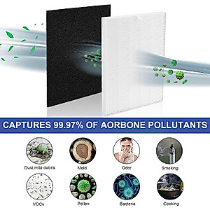 SCREENTRONICS H13 True HEPA Filter S & Carbon Pre Filters Compatible Replacement for Winix C545 Air Purifier Part# 1712-0096-00 (1x True HEPA Filter + 4X Activated Carbon Filters)
