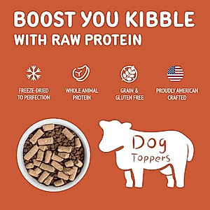 BAYPIE Freeze Dried Raw Dog Food Topper – High Protein Beef Recipe, Grain Free Dog Foods & Meal Mixers – 20 oz