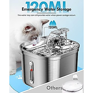Rantizon Cat Water Fountain, 74oz/2.2L Stainless Steel Cat Fountain Water Bowl, Quiet Electric Automatic Pet Water Fountain with Silicone Mat, Water Fountain for Cats Inside for Cats Dogs Pets